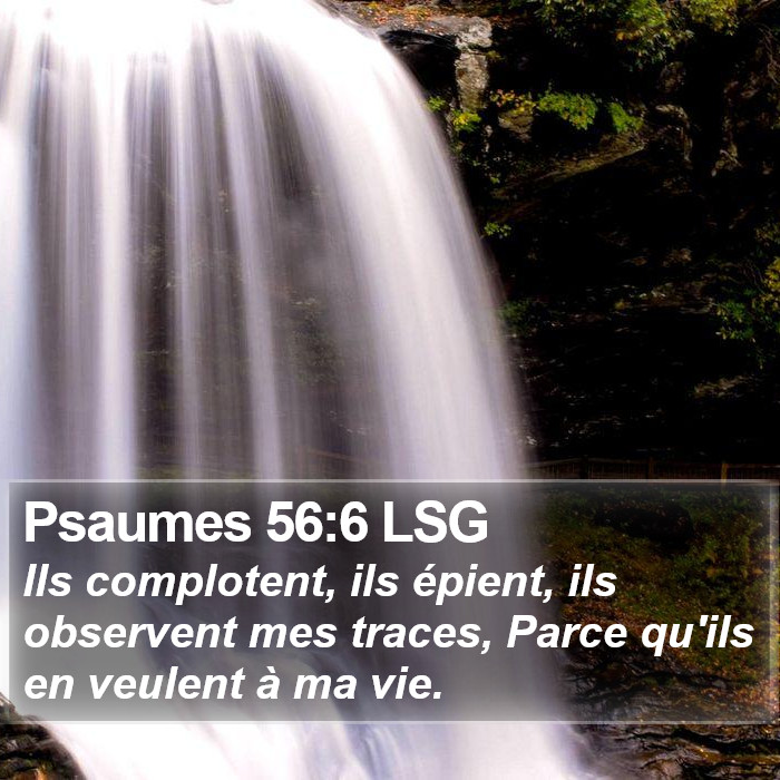 Psaumes 56:6 LSG - Ils complotent, ils épient, ils observent mes