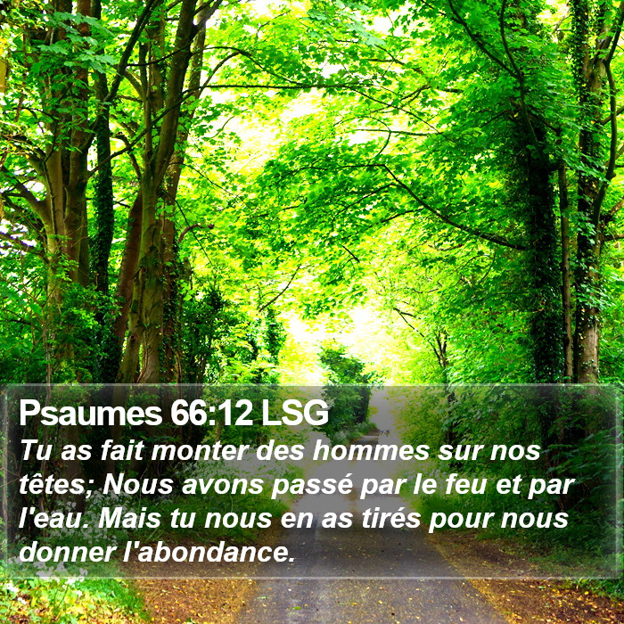 Psaumes 66:12 LSG - Tu as fait monter des hommes sur nos têtes; Nous