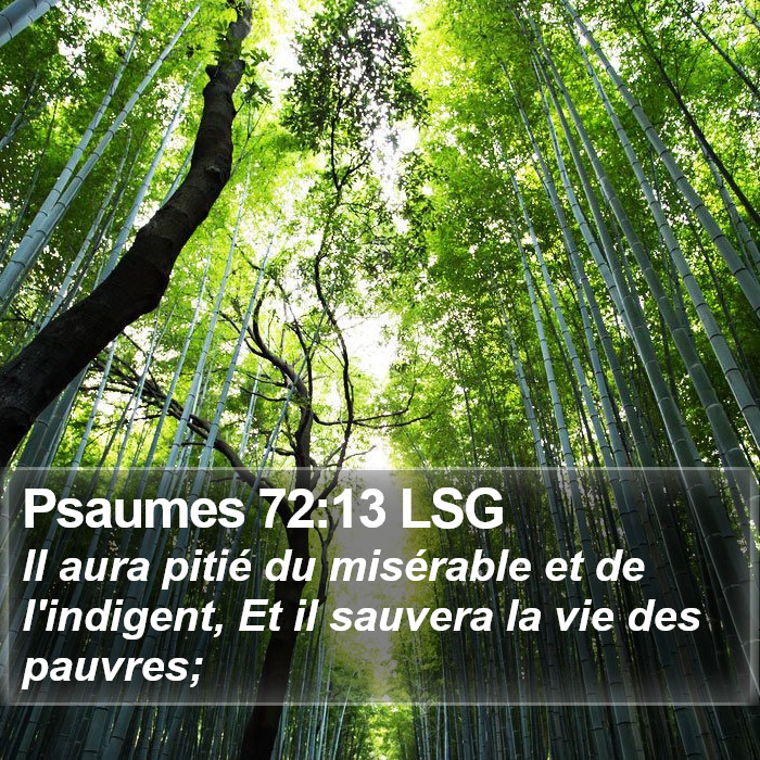 Psaumes 72:13 LSG - Il aura pitié du misérable et de l'indigent, Et