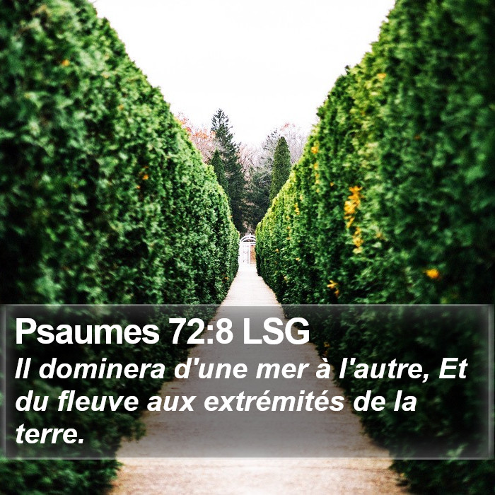 Psaumes 72:8 LSG - Il dominera d'une mer à l'autre, Et du fleuve