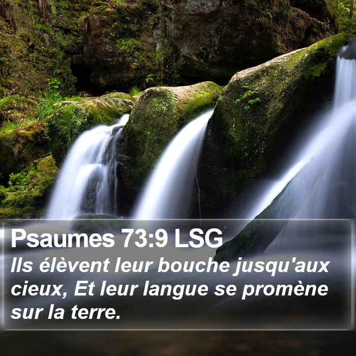 Psaumes 73:9 LSG - Ils élèvent leur bouche jusqu'aux cieux, Et