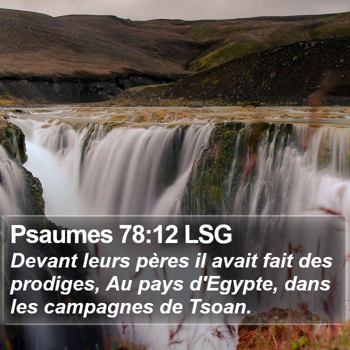 Psaumes 78:12 LSG - Devant leurs pères il avait fait des prodiges,