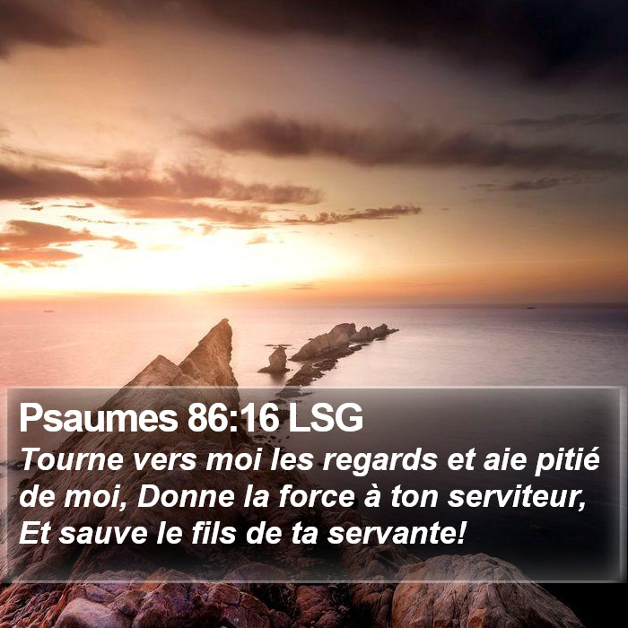 Psaumes 86:16 LSG - Tourne vers moi les regards et aie pitié de moi,