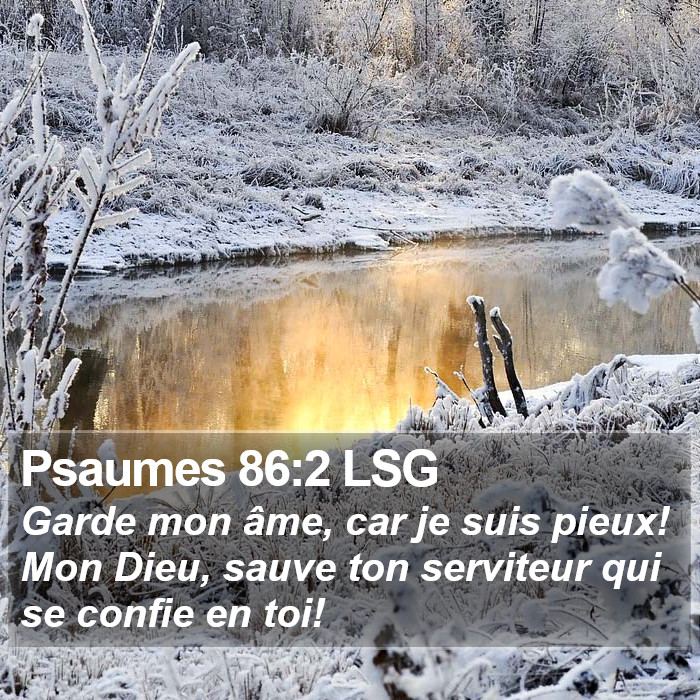 Psaumes 86:2 LSG - Garde mon âme, car je suis pieux! Mon Dieu,
