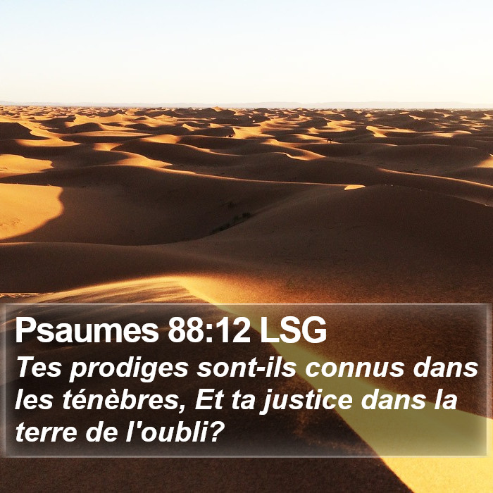 Psaumes 88:12 LSG - Tes prodiges sont-ils connus dans les ténèbres,