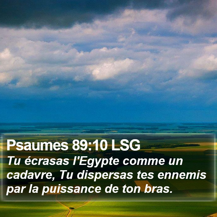 Psaumes 89:10 LSG - Tu écrasas l'Egypte comme un cadavre, Tu