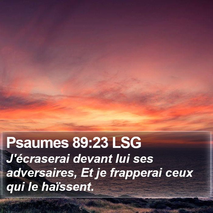 Psaumes 89:23 LSG - J'écraserai devant lui ses adversaires, Et je