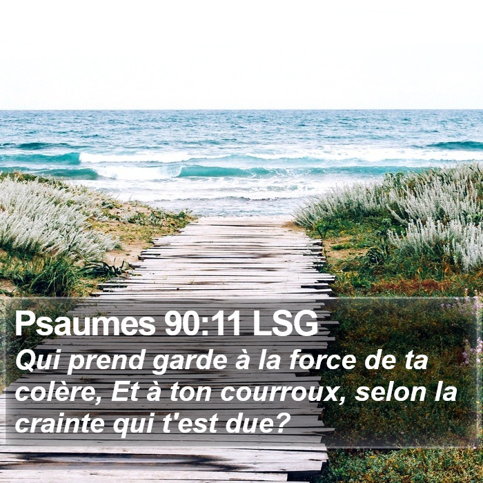 Psaumes 90:11 LSG - Qui prend garde à la force de ta colère, Et à