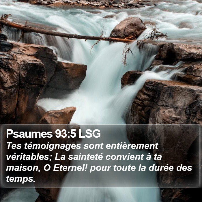 Psaumes 93:5 LSG - Tes témoignages sont entièrement véritables;