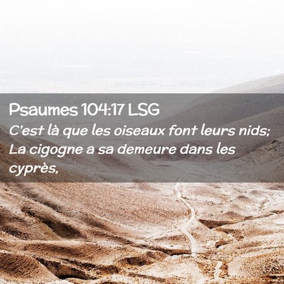 Psaumes 104:17 LSG - C'est là que les oiseaux font leurs nids; La