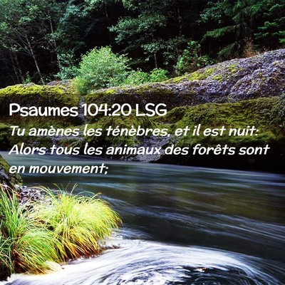 Psaumes 104:20 LSG - Tu amènes les ténèbres, et il est nuit: Alors