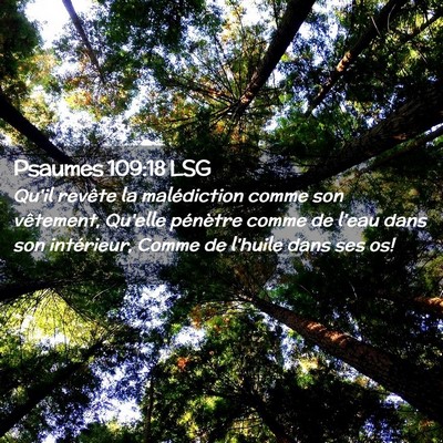 Psaumes 109:18 LSG - Qu'il revête la malédiction comme son