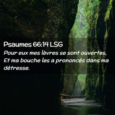 Psaumes 66:14 LSG - Pour eux mes lèvres se sont ouvertes, Et ma