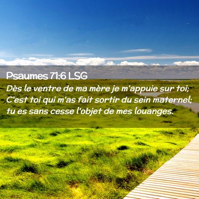 Psaumes 71:6 LSG - Dès le ventre de ma mère je m'appuie sur toi;