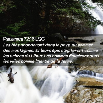 Psaumes 72:16 LSG - Les blés abonderont dans le pays, au sommet des