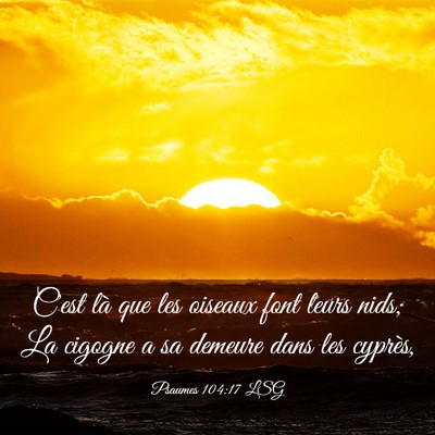 Psaumes 104:17 LSG - C'est là que les oiseaux font leurs nids; La