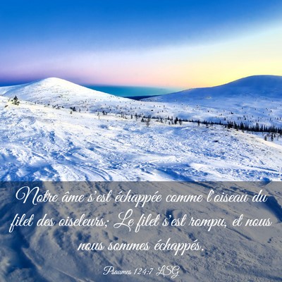 Psaumes 124:7 LSG - Notre âme s'est échappée comme l'oiseau du