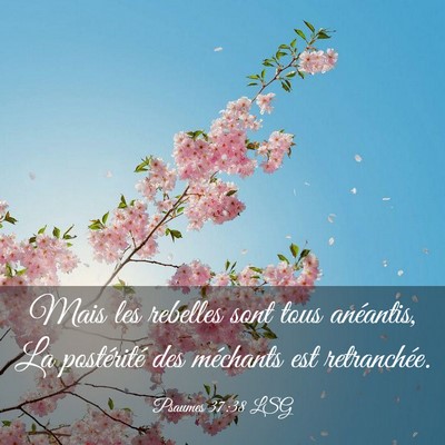 Psaumes 37:38 LSG - Mais les rebelles sont tous anéantis, La