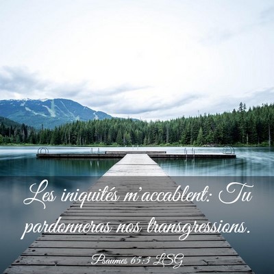Psaumes 65:3 LSG - Les iniquités m'accablent: Tu pardonneras nos