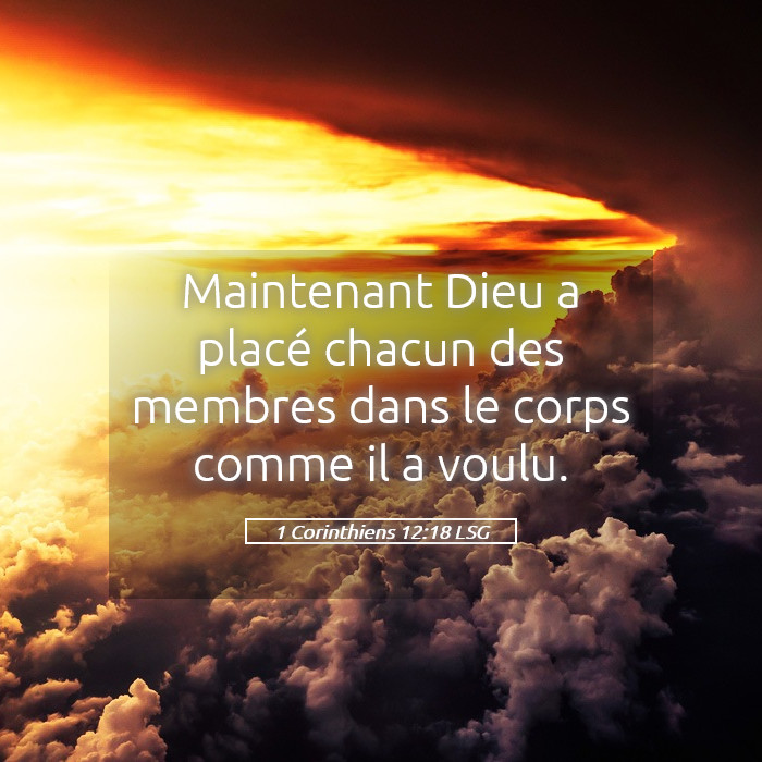 1 Corinthiens 12:18 LSG - Maintenant Dieu a placé chacun des membres dans