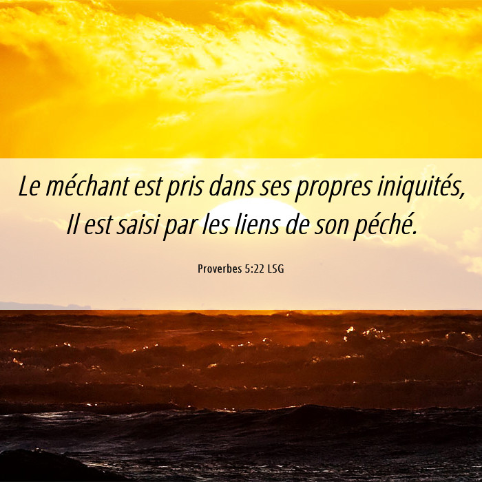 Proverbes 5:22 LSG - Le méchant est pris dans ses propres iniquités,